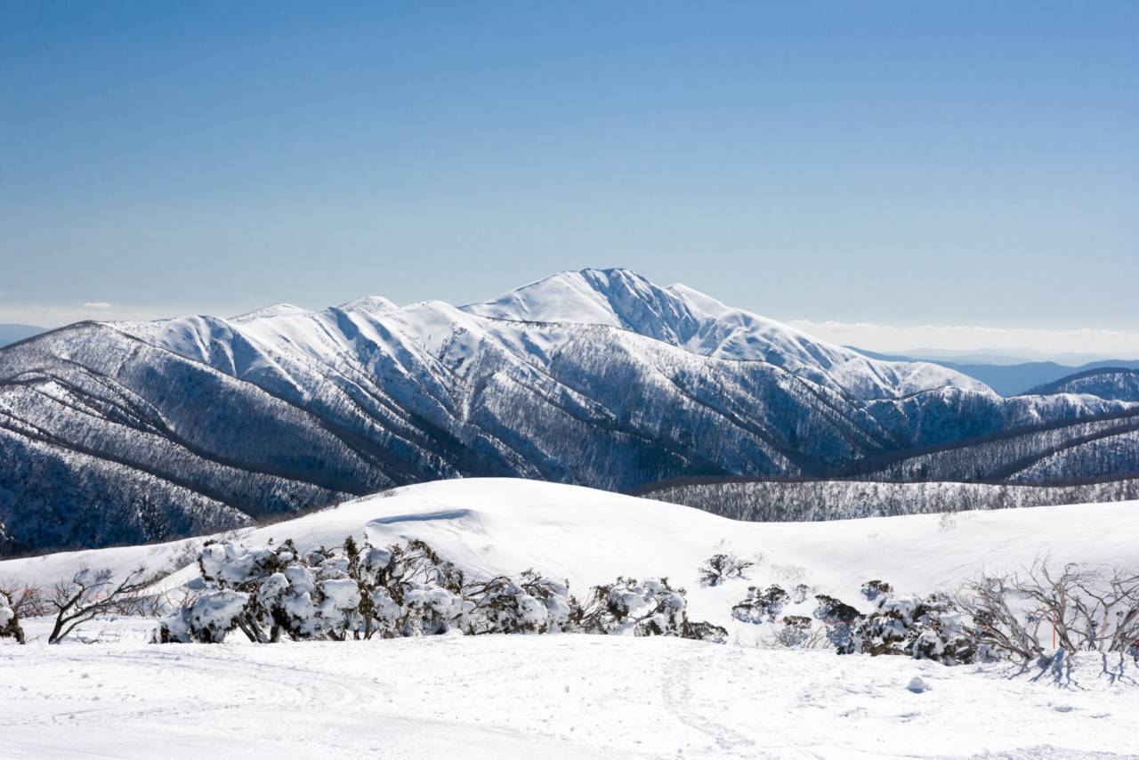 Rural Properties for sale in Hume, VIC - Go Regional