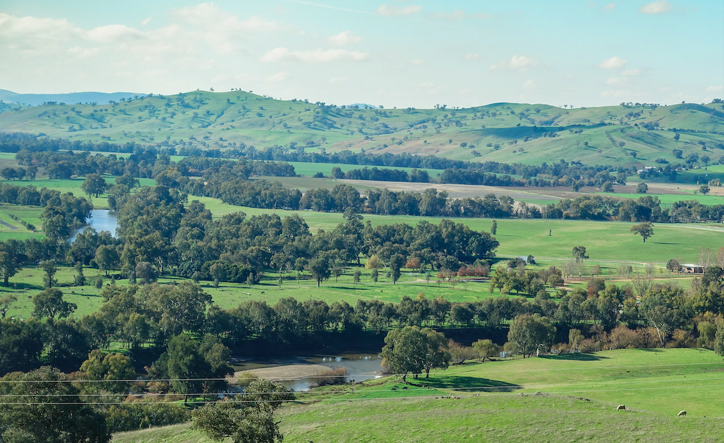 Rural Properties for sale in Riverina, NSW - Go Regional